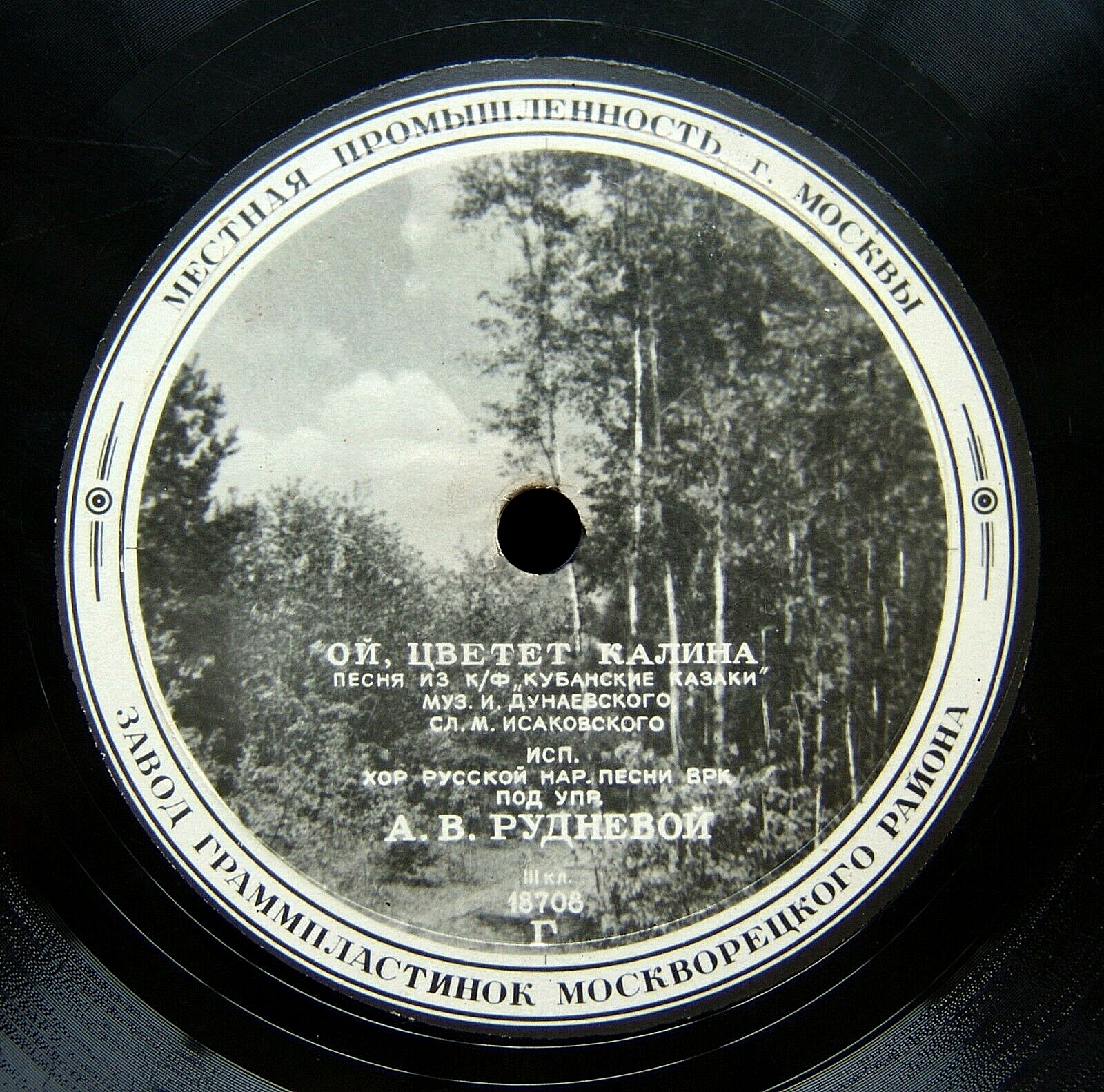 Oh, viburnum blooms (Ой, цветёт калина), song (Film «Kuban Cossacks»)
